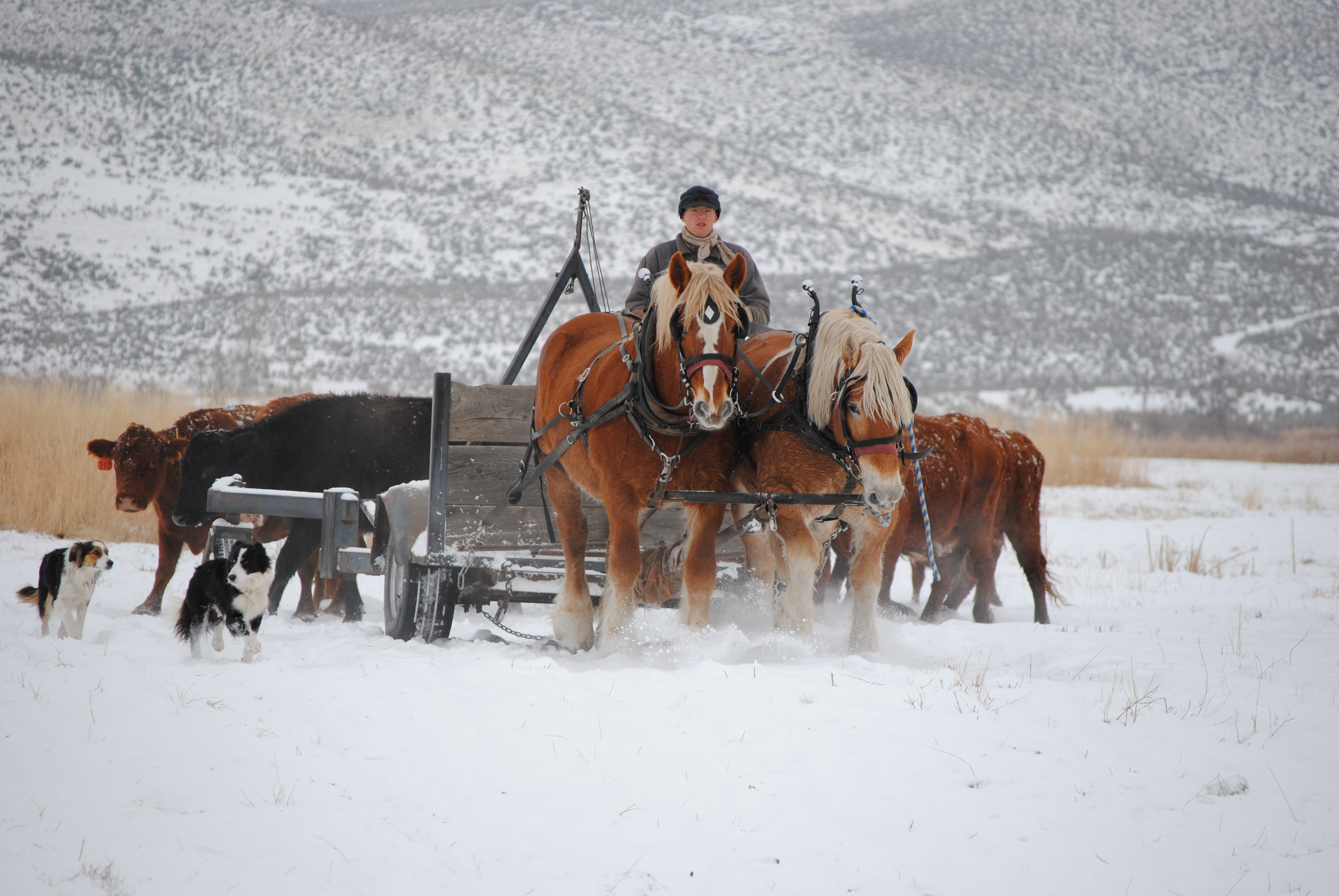 Wintertime on the Ranch – Cross S Ranch
