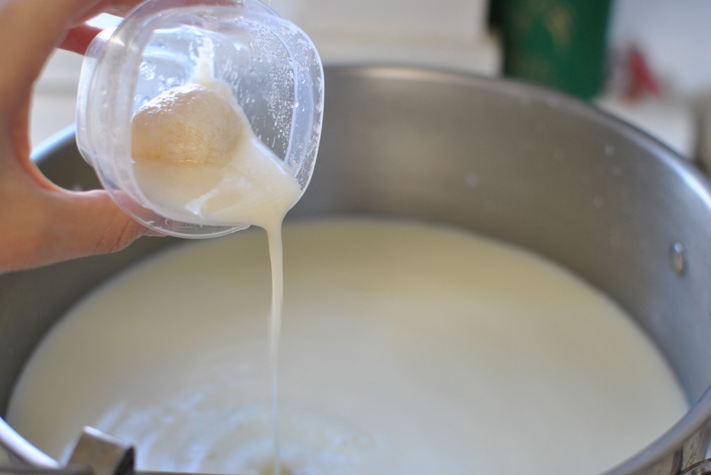 How to Make Farmhouse Cheddar Cheese- Step by Step Pictures (& Raw Milk ...