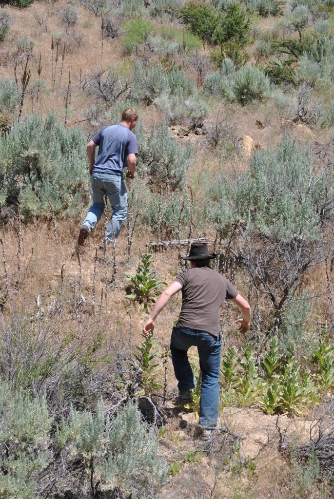 Life on the High Desert: Fire Season – Cross S Ranch